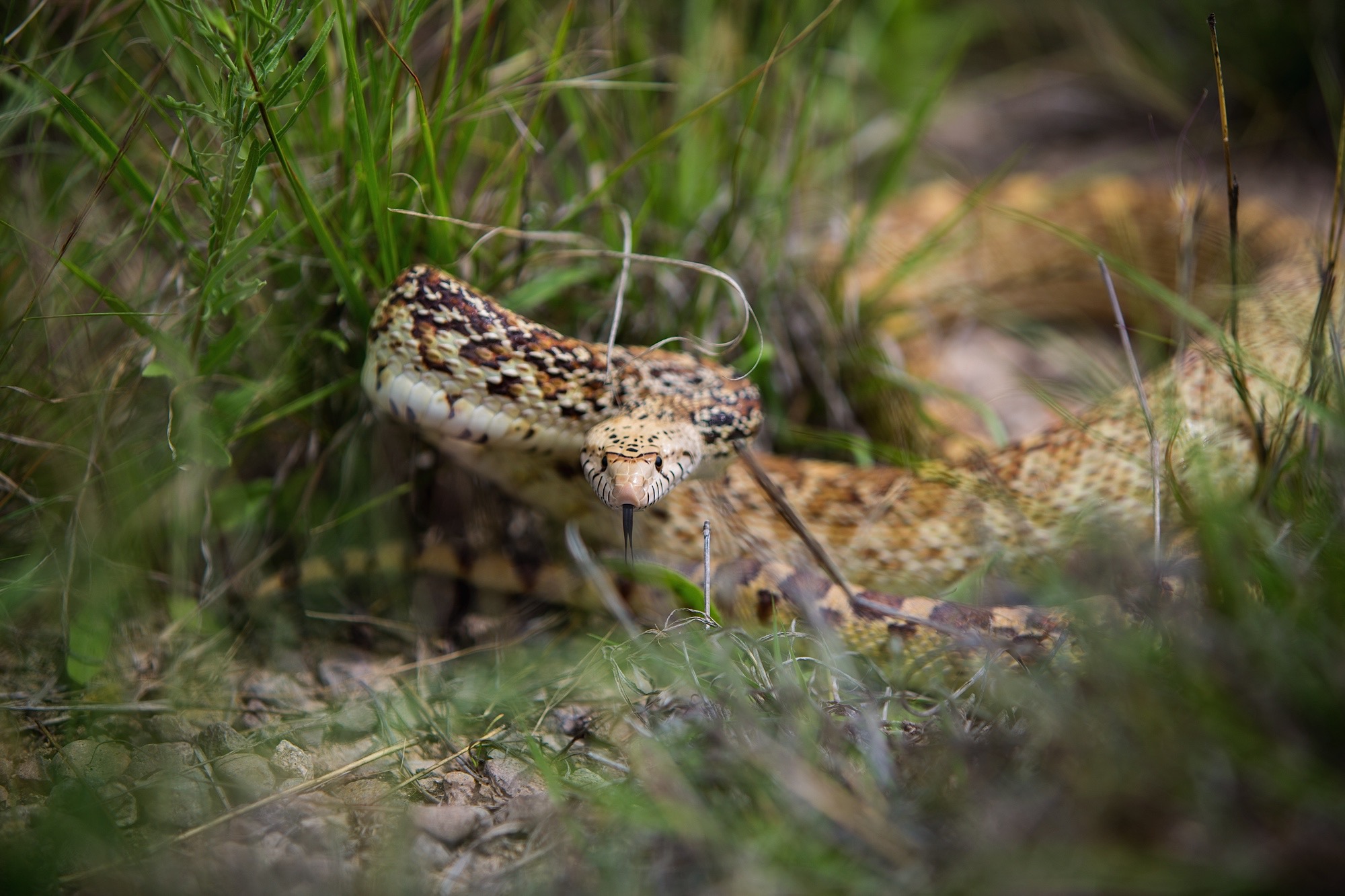 #FindYourPark | BIG BEND | andrew slaton | blog