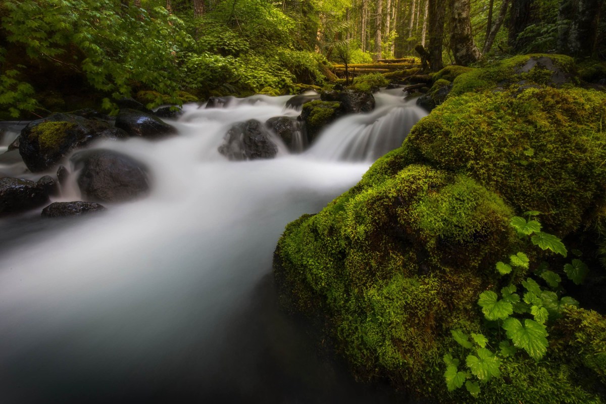 PARK PEEK // OLYMPIC | andrew slaton | blog
