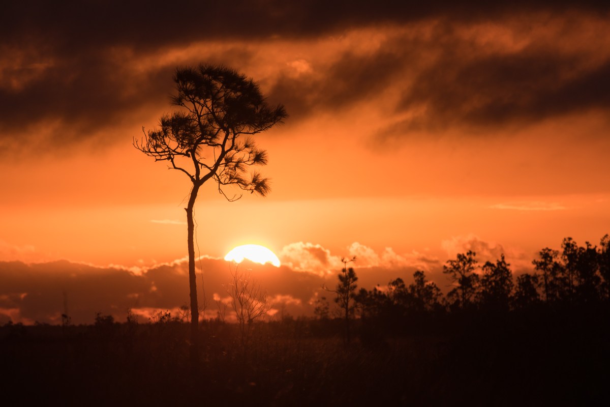 andrew slaton | blog | travelogue and visual catharsis of a nomadic photographer